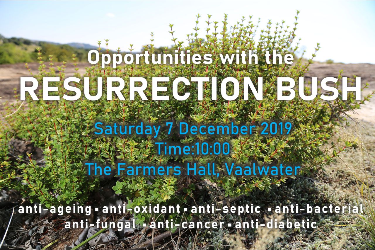 Index of /wp-content/uploads/2019/12/